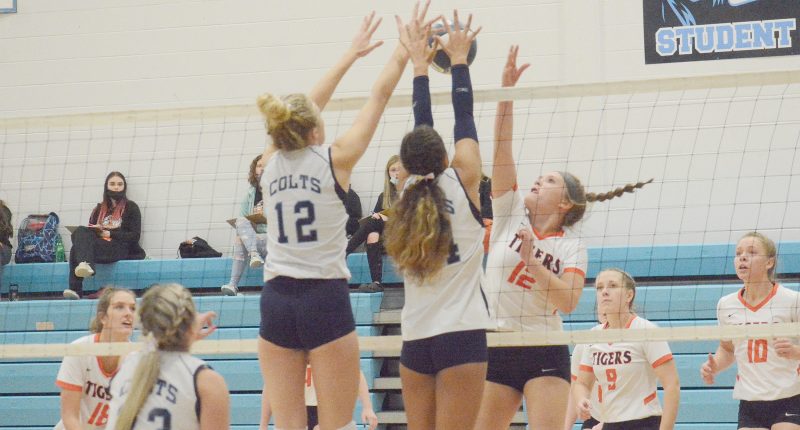 Lady Colts capture sectional title ship | News, Sports, Jobs - The ...